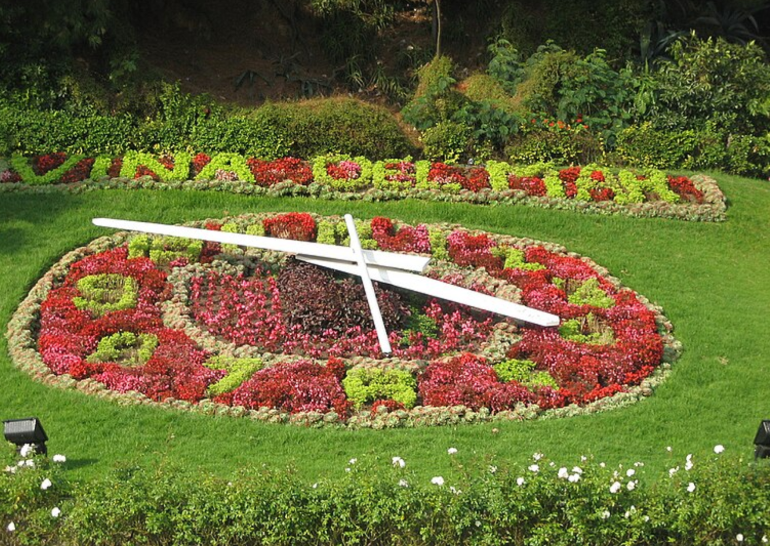 Arriendo de bodegas Viña del Mar | Guía para elegir la ideal